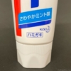 花王の『ガードハロー 薬用ハミガキ』が懐かしいスッキリ感で良い！ | 買てみた