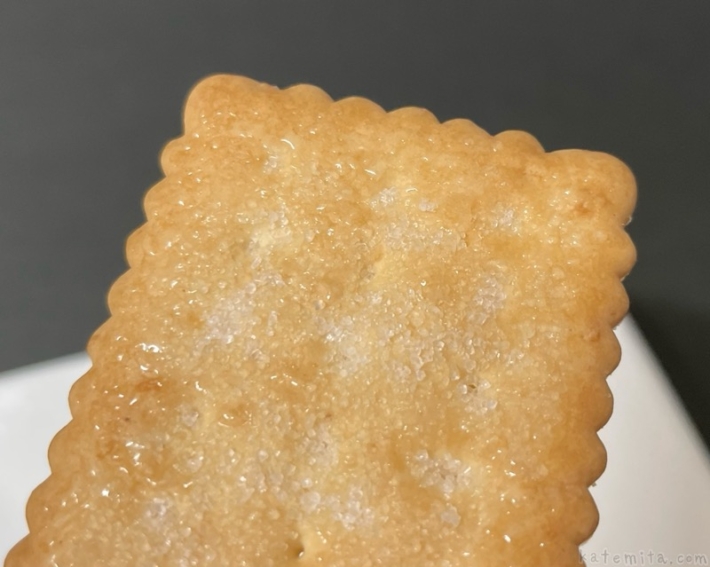 日清シスコの『ココナッツサブレ(あんバター)』が餡この甘みでサクサク美味しい！ | 買てみた